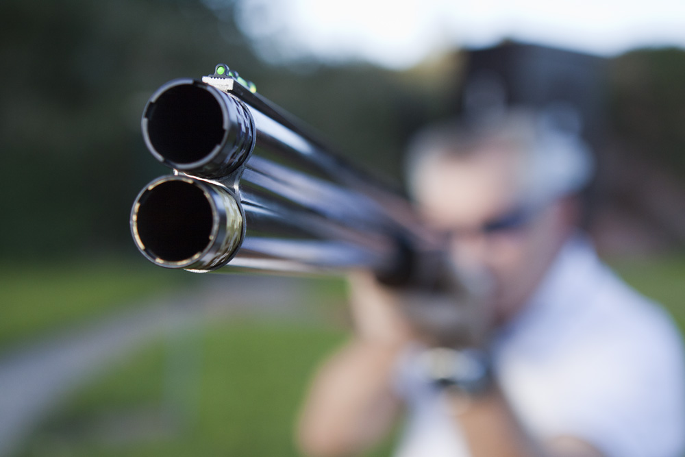 shotgun aim - Dorhout Mees
